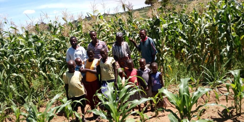 Working together as a family bears fruits for Kikuna family - Vi ...