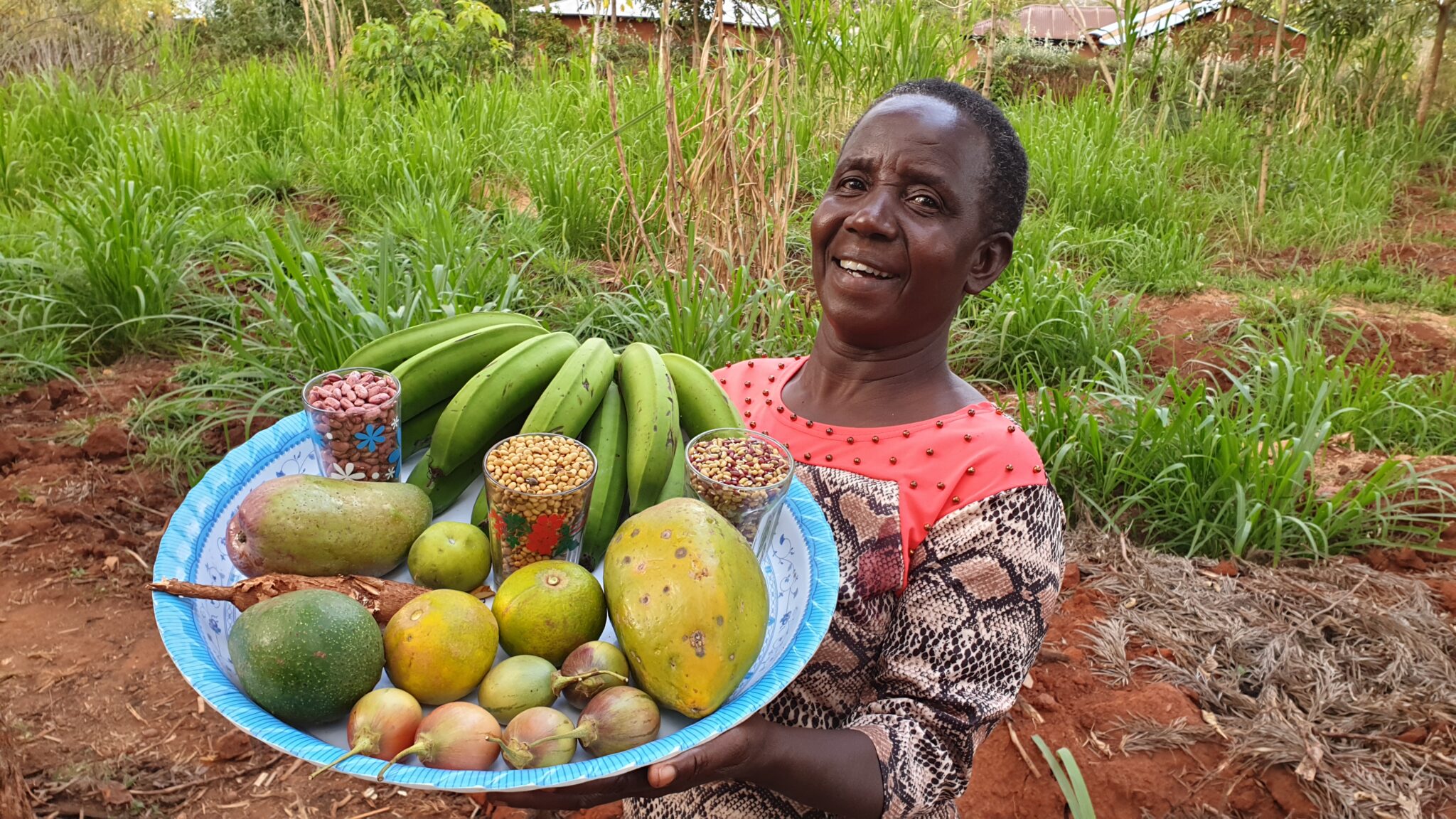 Women's empowerment in focus at digital meeting between Swedish ...