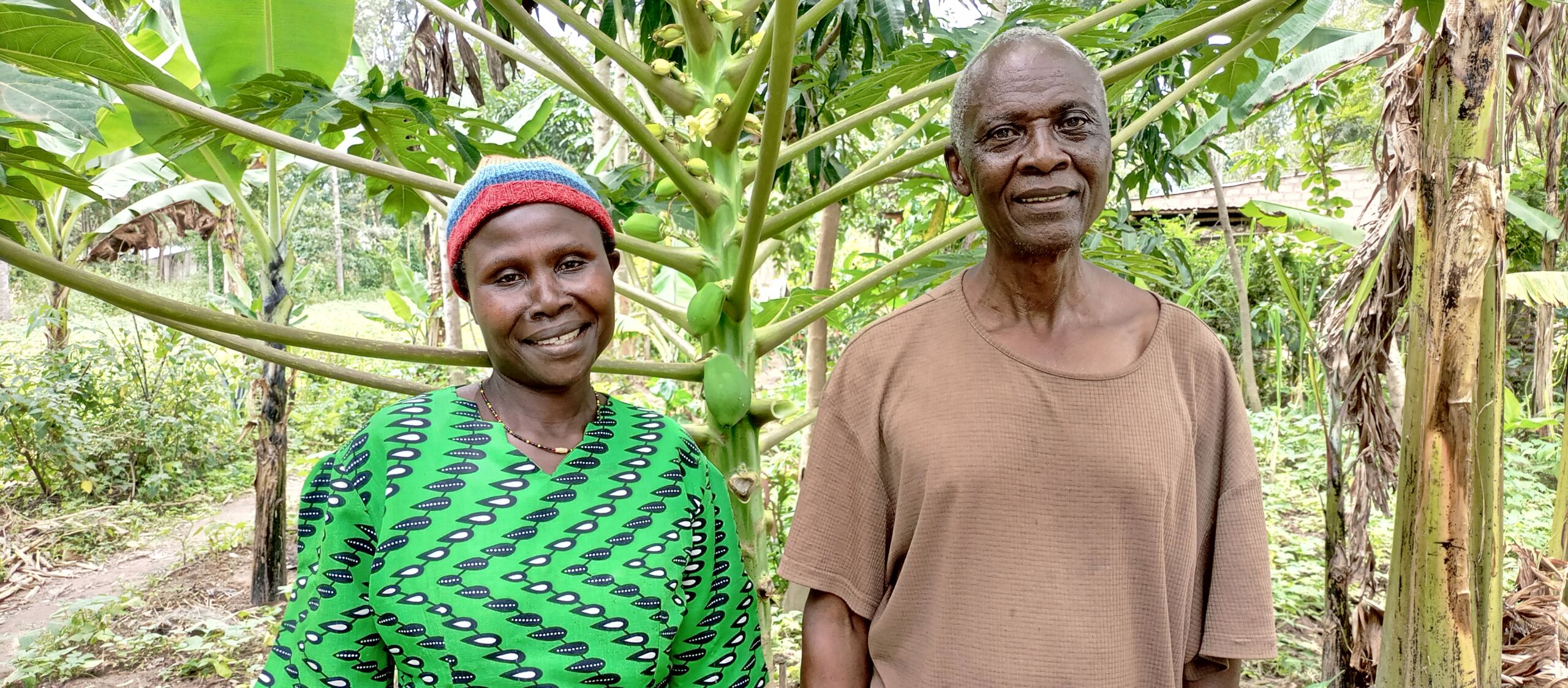 KACP - Vi Agroforestry