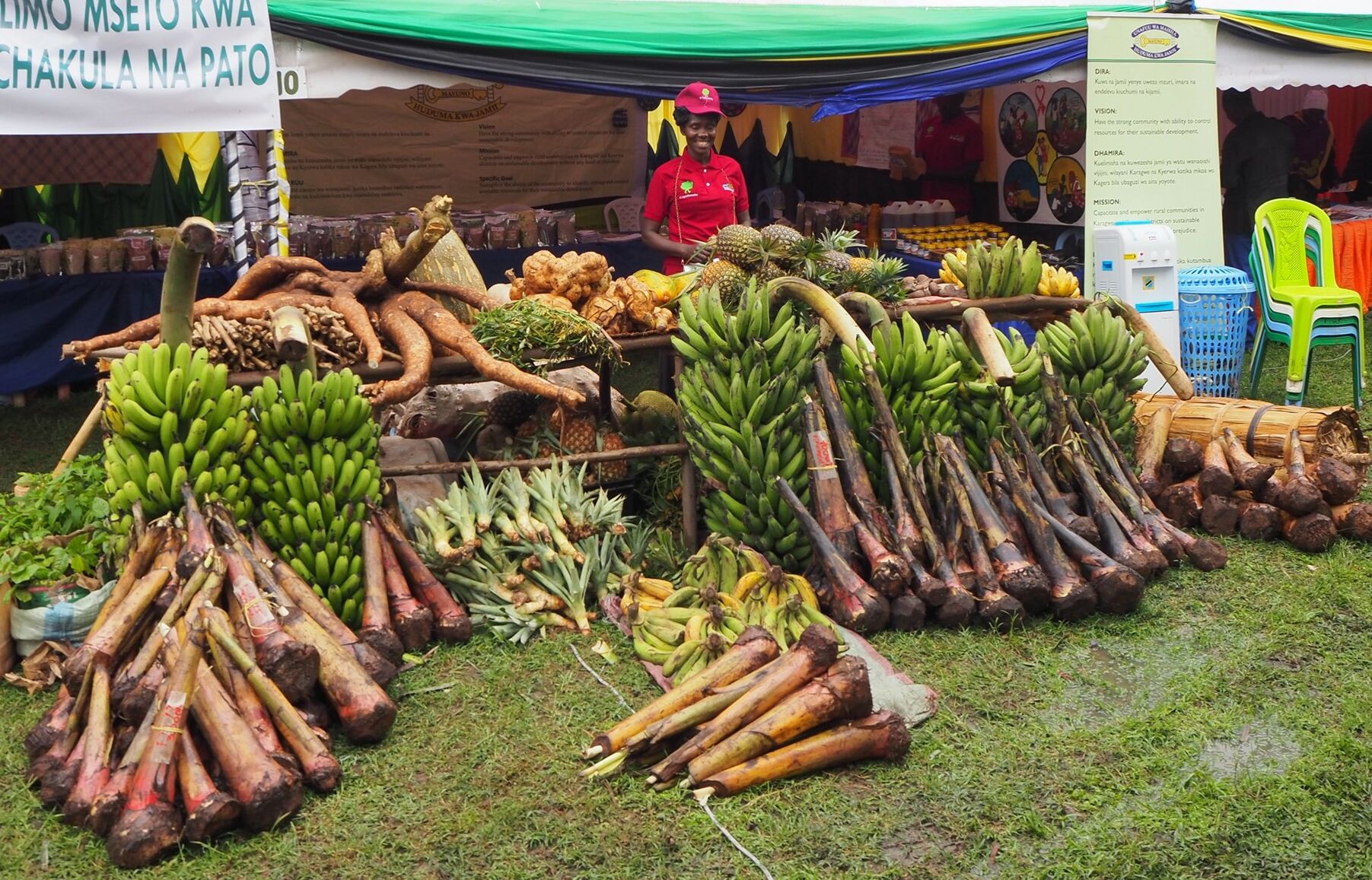 Vi Agroforestry Tanzania set to host their 6th Annual Agroforestry ...