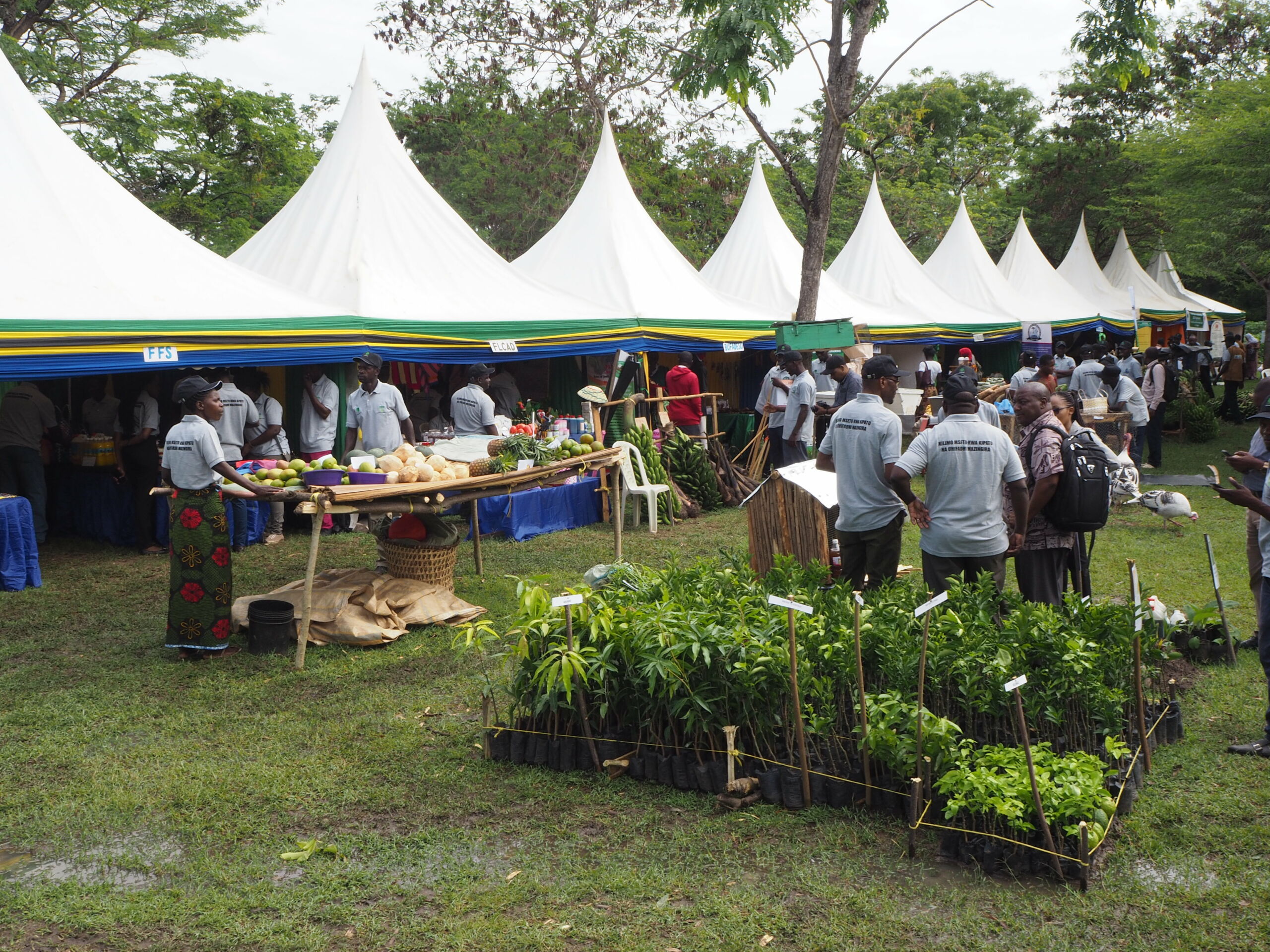 Vi Agroforestry Tanzania to host its annual agroforestry symposium in ...