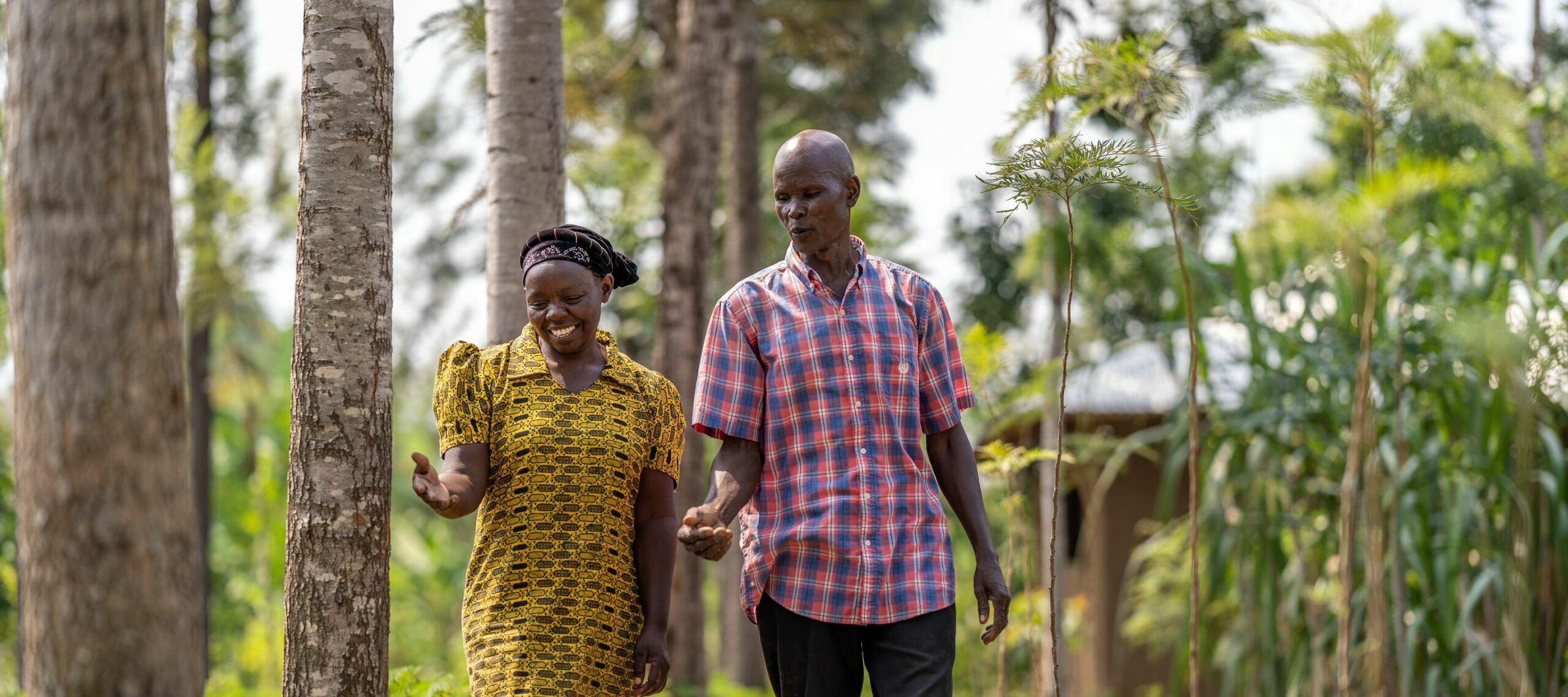 About us - Vi Agroforestry