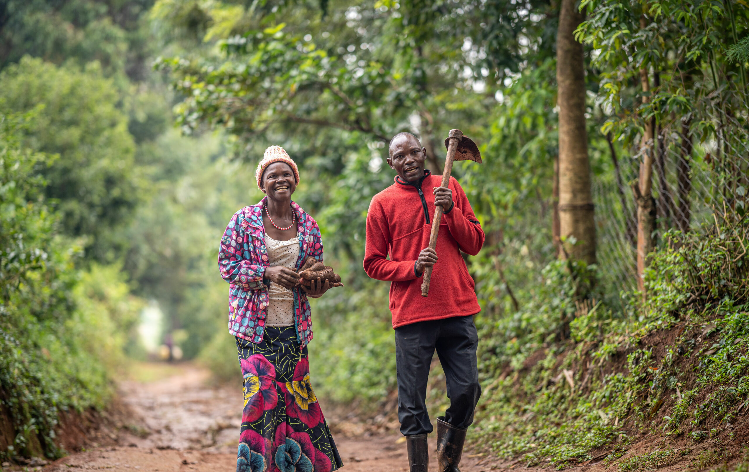What we do - Vi Agroforestry
