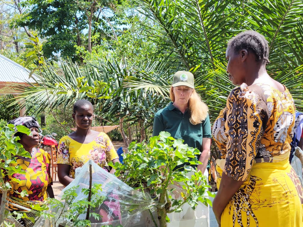 Empowering Change: A Glimpse into Vi Agroforestry's Impact on ...